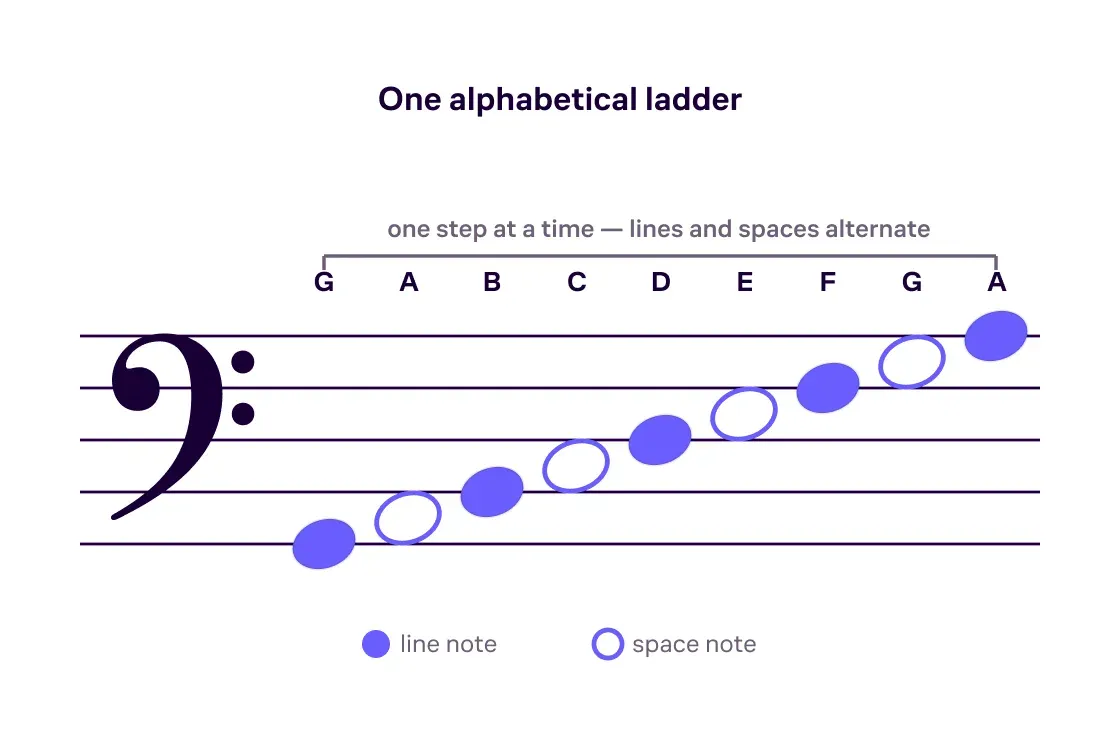 The bass clef, explained: notes, lines, and spaces | MuseScore.com