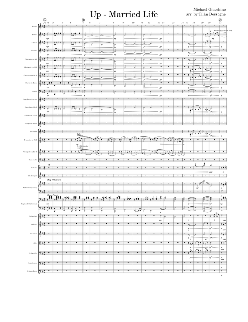 Married Life (from Up) Sheet music for Piano, Tuba, Flute piccolo ...