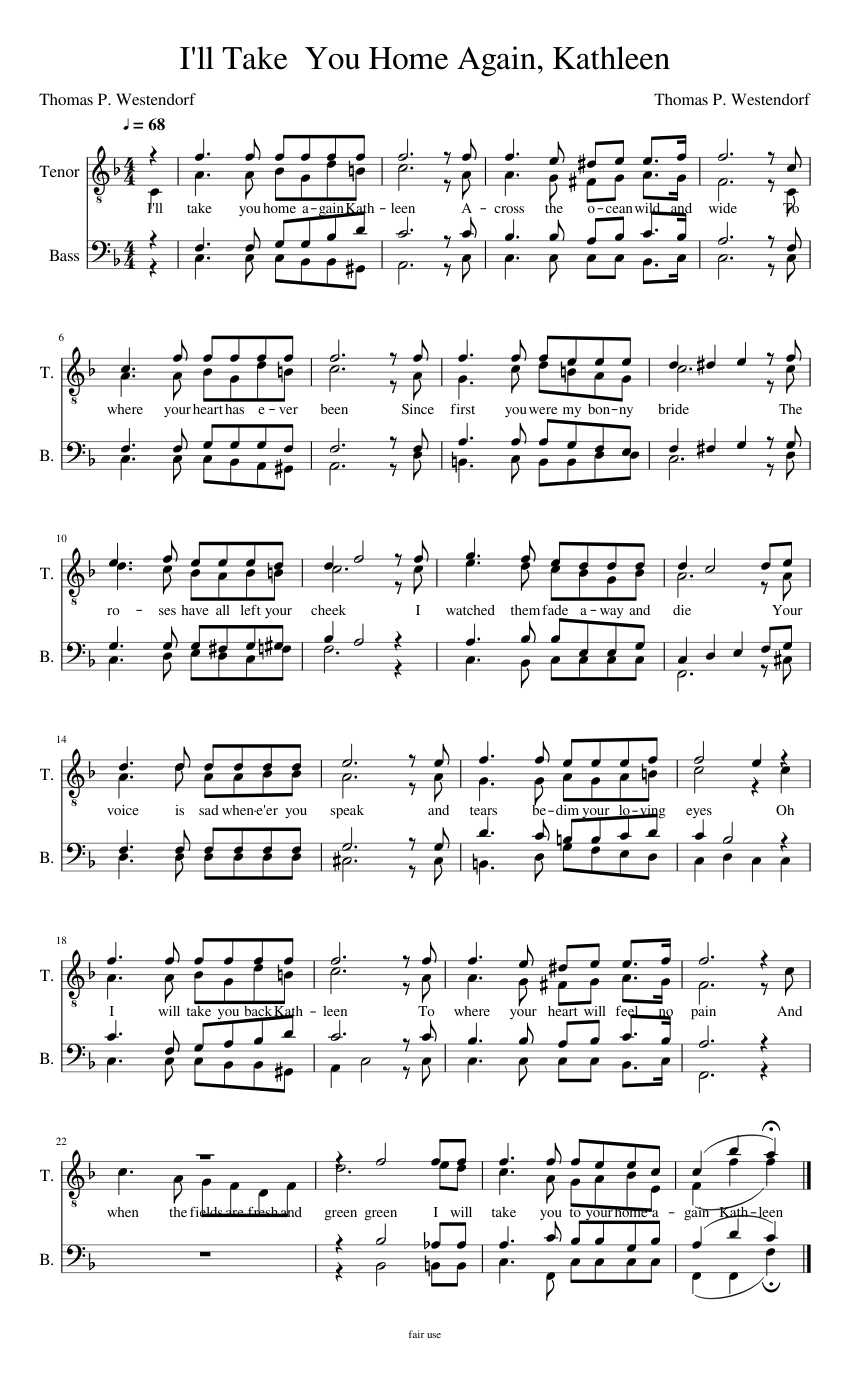 I'll Take You Home Again, Kathleen Sheet music for Tenor, Bass voice ...