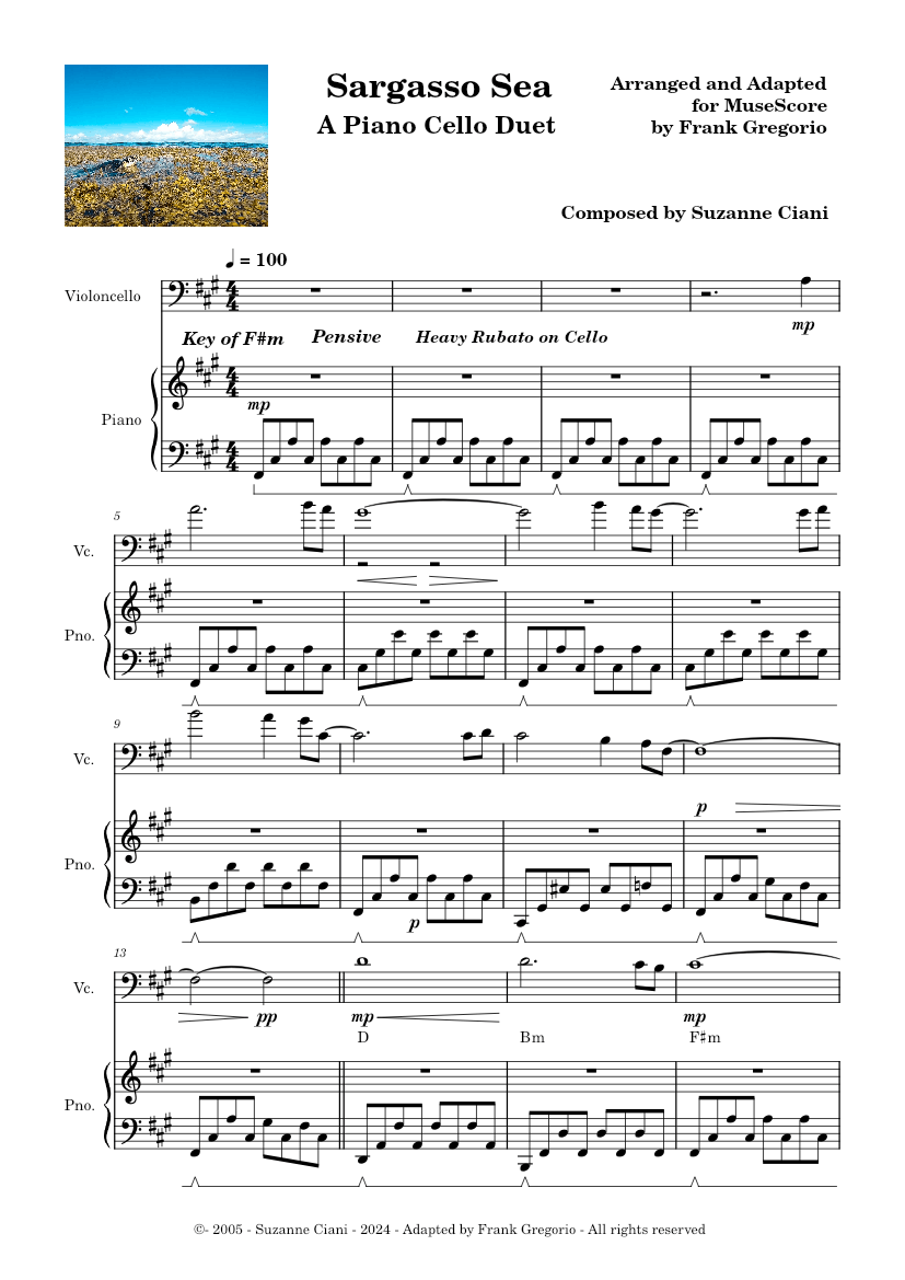 Sargasso Sea, by Suzanne Ciani Sheet music for Piano, Cello (Piano Duo) | Musescore.com