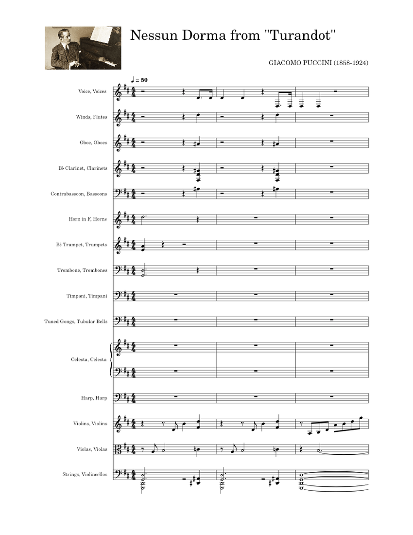 Nessun Dorma Sheet music for Trombone, Vocals, Celesta, Oboe & more instruments (Mixed Ensemble ...