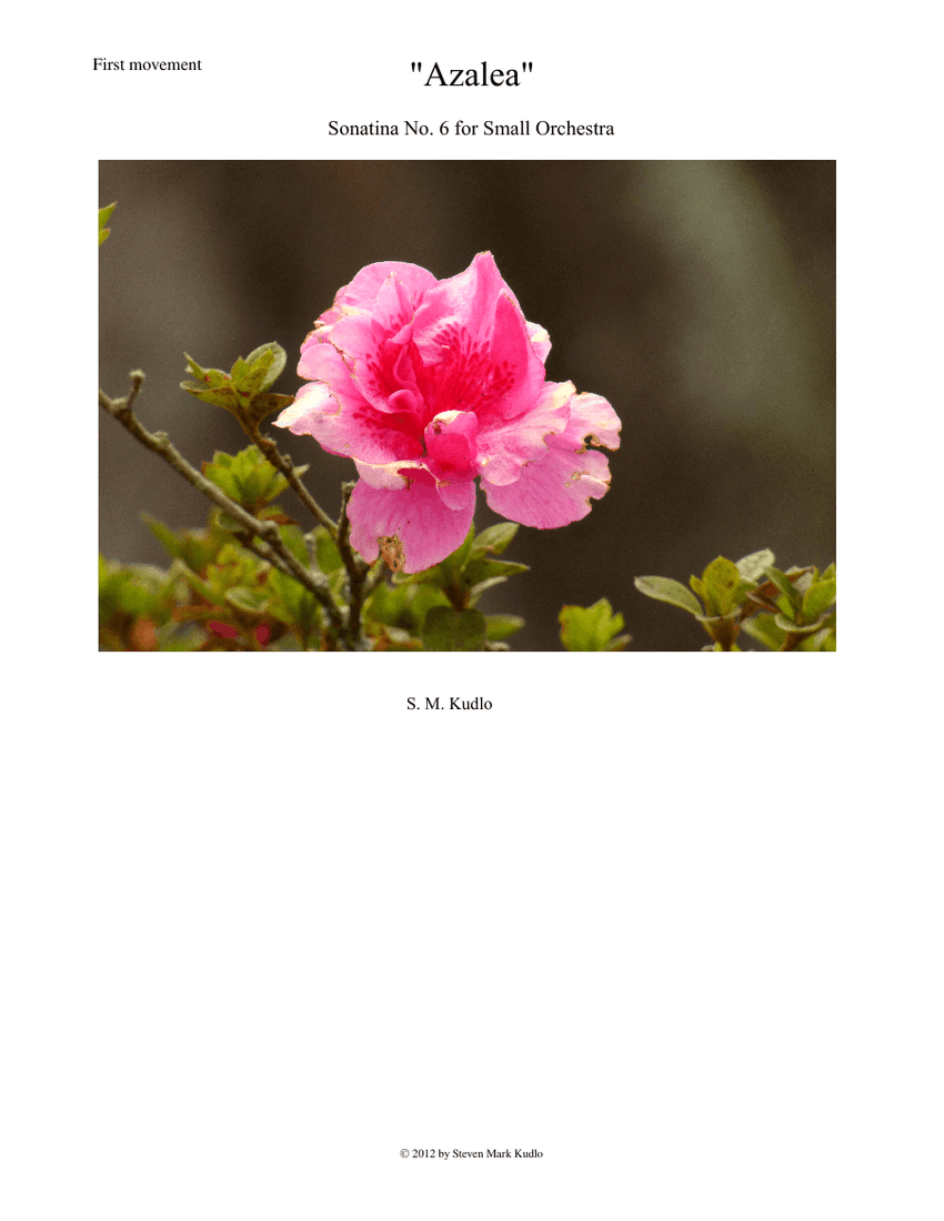 "Azalea" first movement Sheet music for Flute, Oboe, Clarinet in b-flat ...