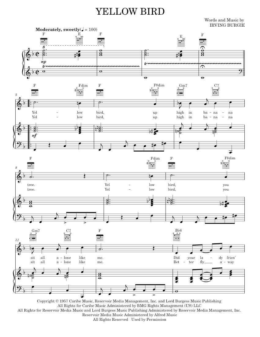 Yellow Bird Sheet music for Piano, Vocals: Music Notes