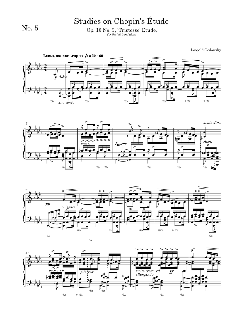 Study No. 5 on Chopin's Étude (Op. 10 No. 3) – Leopold Godowsky Sheet music for Piano (Solo ...