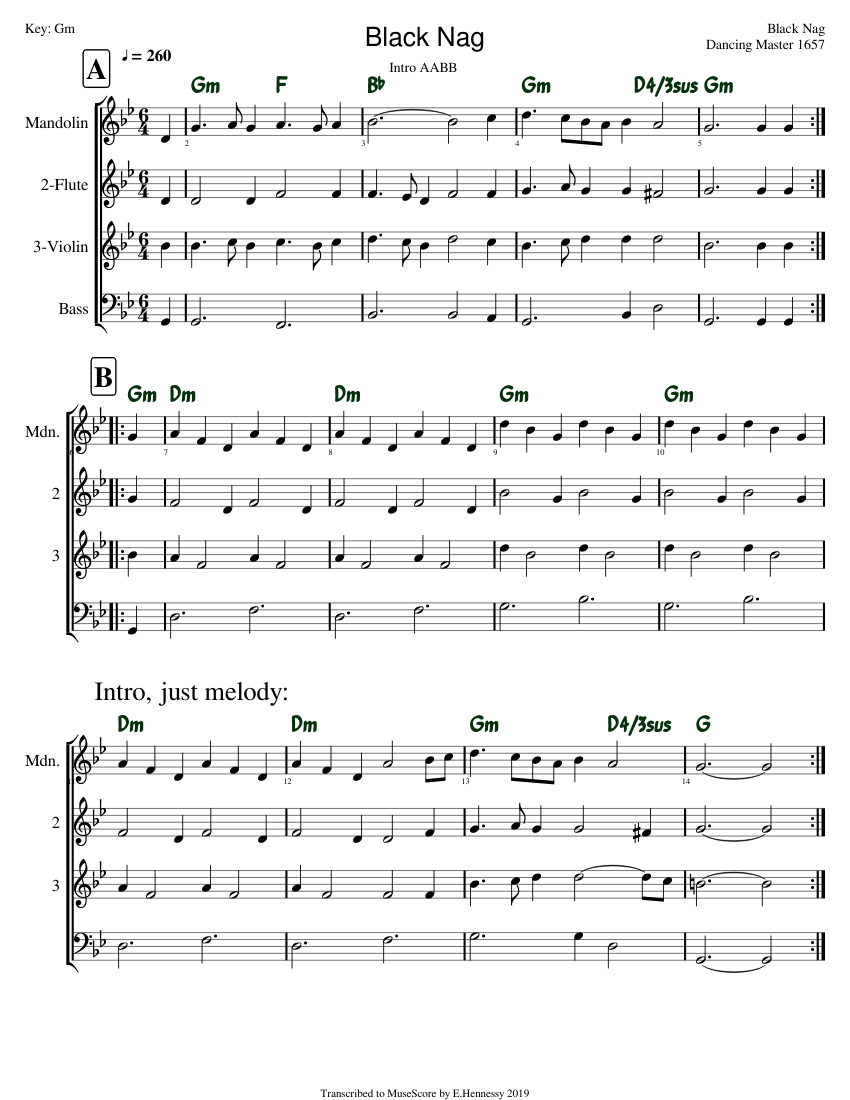 Black Nag Sheet music for Flute, Contrabass, Violin, Mandolin (Mixed ...