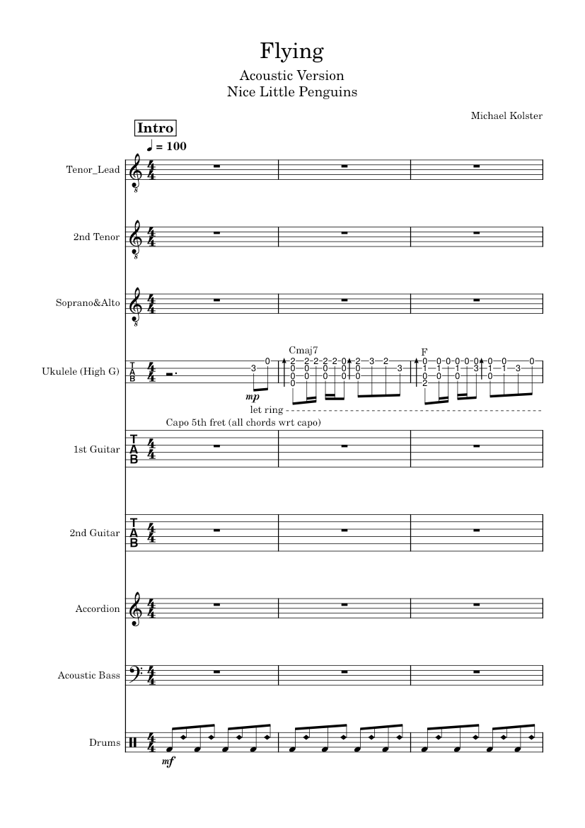 Flying – Nice Little Penguins (Acoustic Version) Sheet music for Piano ...