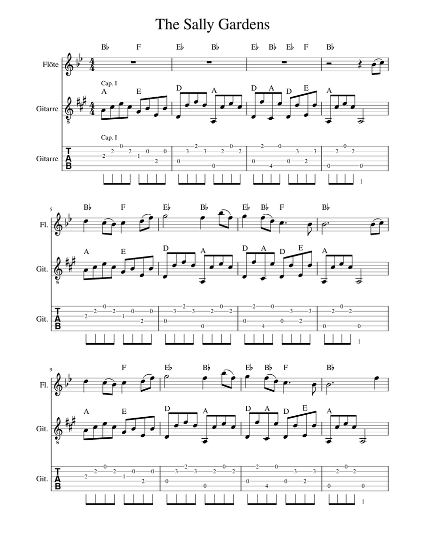 The Sally Gardens Fl +Git Sheet music for Flute, Guitar (Mixed Trio ...