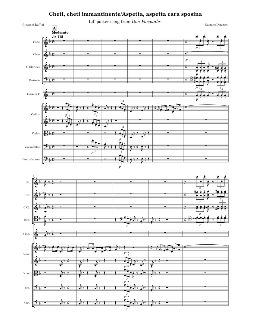 Don Pasquale – Gaetano Donizetti : Cheti, cheti/Aspetta, aspetta ...