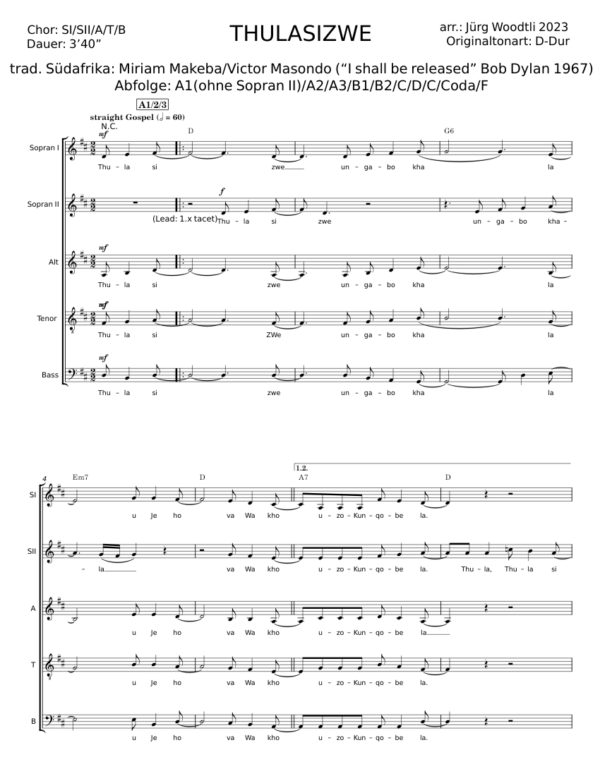THULASIZWE Sheet music for Bass guitar, Synthesizer (Mixed Quintet ...