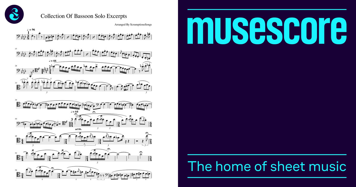 Various Classical Bassoon Solo Excerpts Sheet music for Bassoon (Solo ...