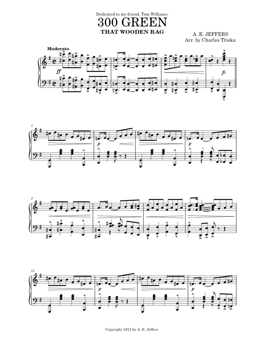 300 Green/That Wooden Rag (1912) Sheet music for Piano (Solo ...