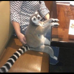 Homelander In The Hallway – Christopher Lennertz Sheet Music for Violin ...