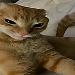 Ruler Of My Heart - VIVINOS Sheet Music for Piano, Violin (Mixed Duet) | MuseScore.com