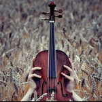 Counting Stars viola solo Sheet Music for Violin (Solo) | MuseScore.com