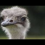 Break Fast – Jules Gaia Sheet Music for Piano (Solo) | MuseScore.com