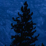 Main Theme - Disney Pixar's Up Sheet Music for Trumpet in b-flat (Solo ...