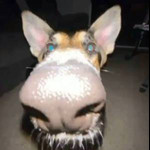 6up 5oh (Cop Out!) Sheet Music for Piano (Solo) | MuseScore.com