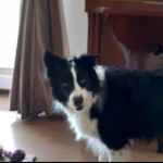 I'm Astro bot – Kenneth C M Young (Astro's Playroom PS5) Sheet Music ...