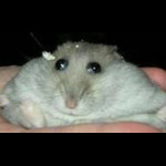 Casiopea - Midnight Rendezvous Sheet Music for Piano, Trombone ...