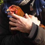 Daahoud – Clifford Brown Daahoud (Transcription) Sheet Music with ...